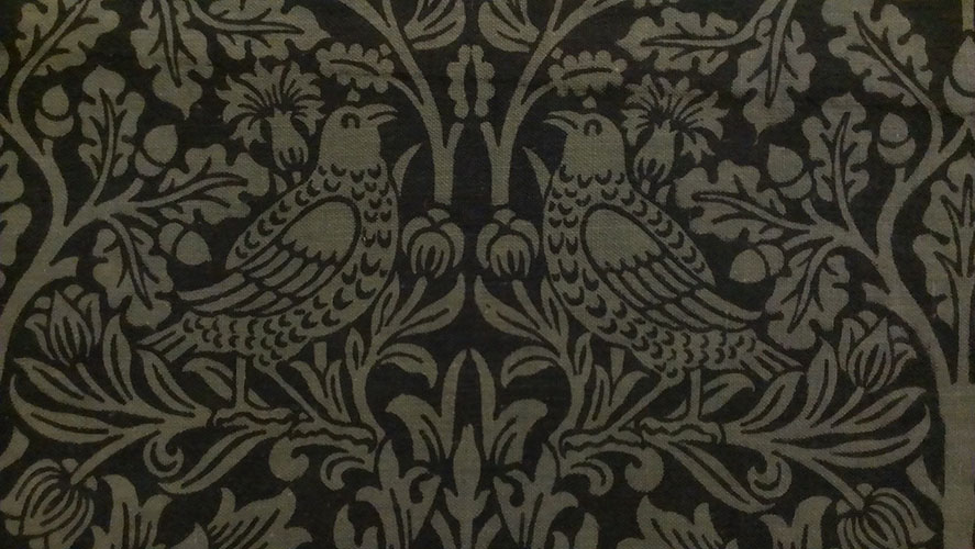 morris – History of Anthropology Review